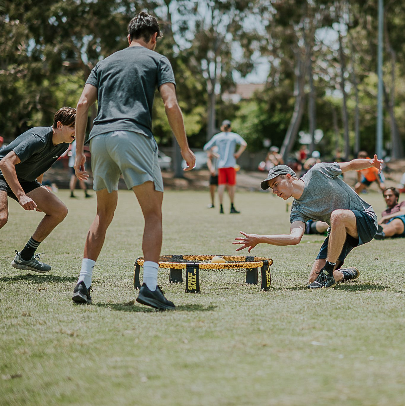 Educators – Australian Roundnet Association